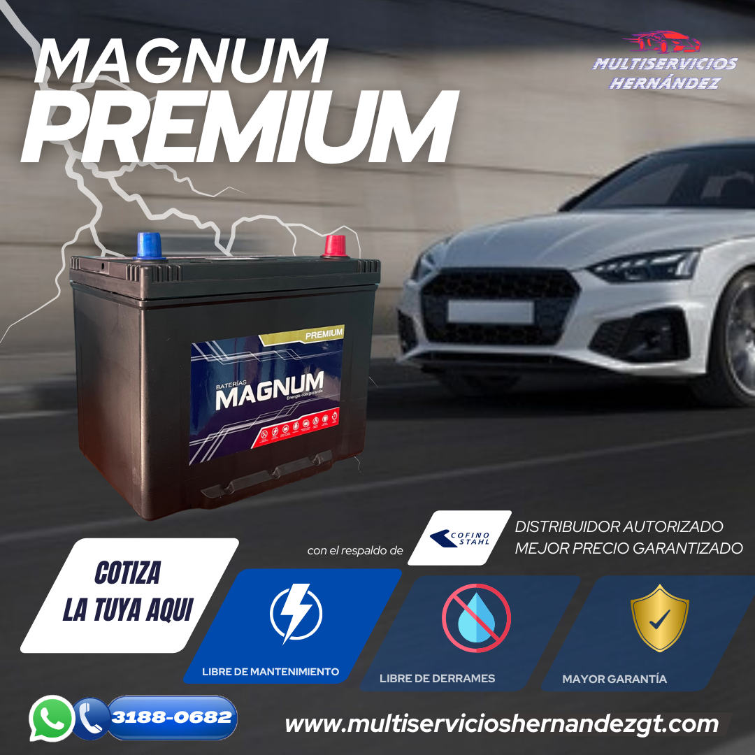 BATERIAS MAGNUM – Multiservicios Hernandez